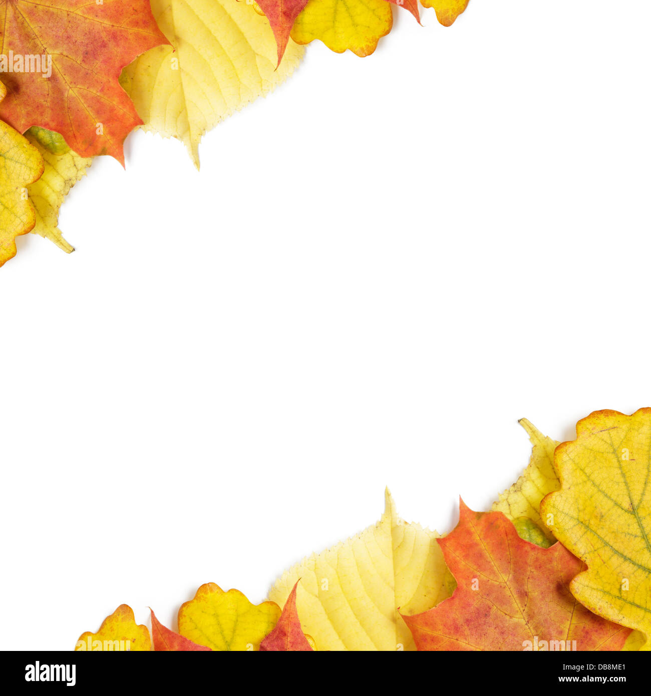 border from different autumn leaves, background autumn theme Stock ...