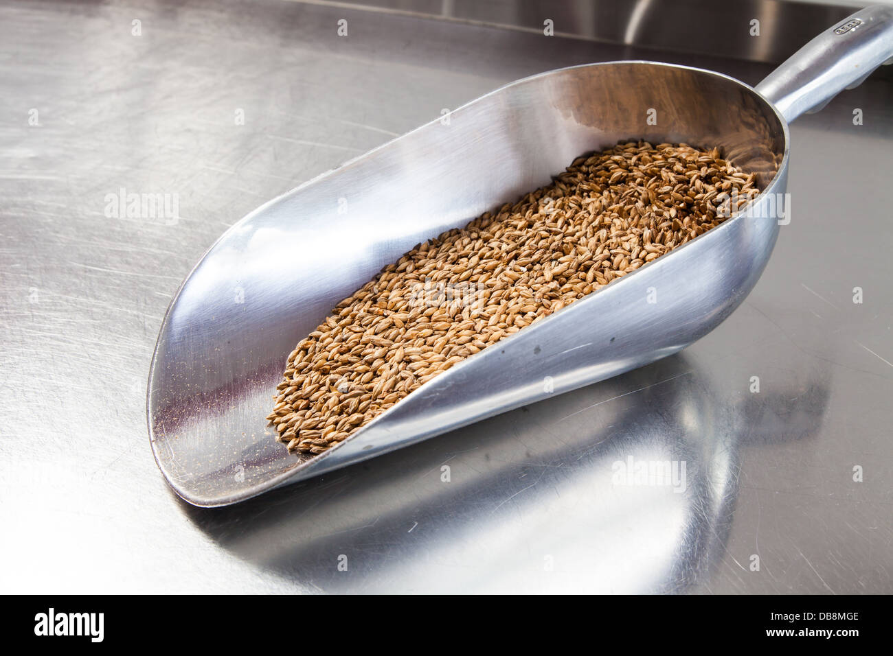 Detail of raw malt in a premium brewery Stock Photo - Alamy