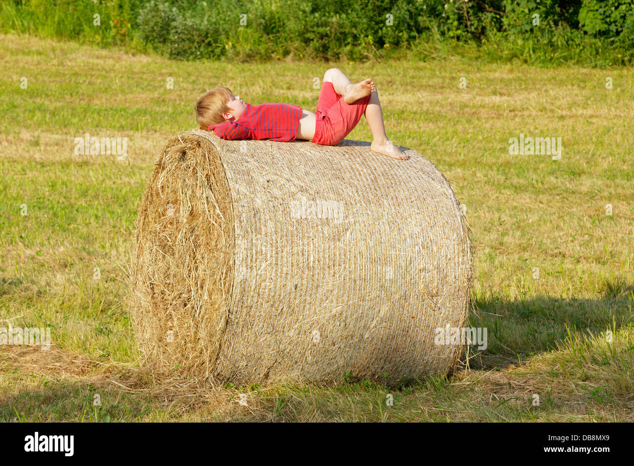 Bale of hay hi-res stock photography and images - Alamy