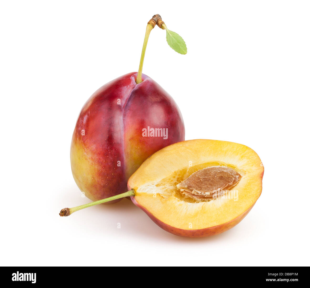 Plum half fruit on Cut Out Stock Images & Pictures - Alamy