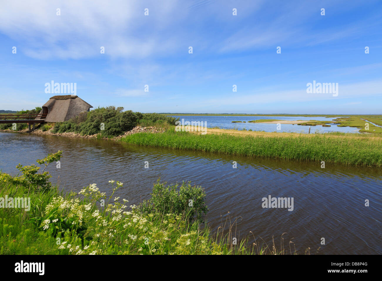 Observation hide hi-res stock photography and images - Alamy