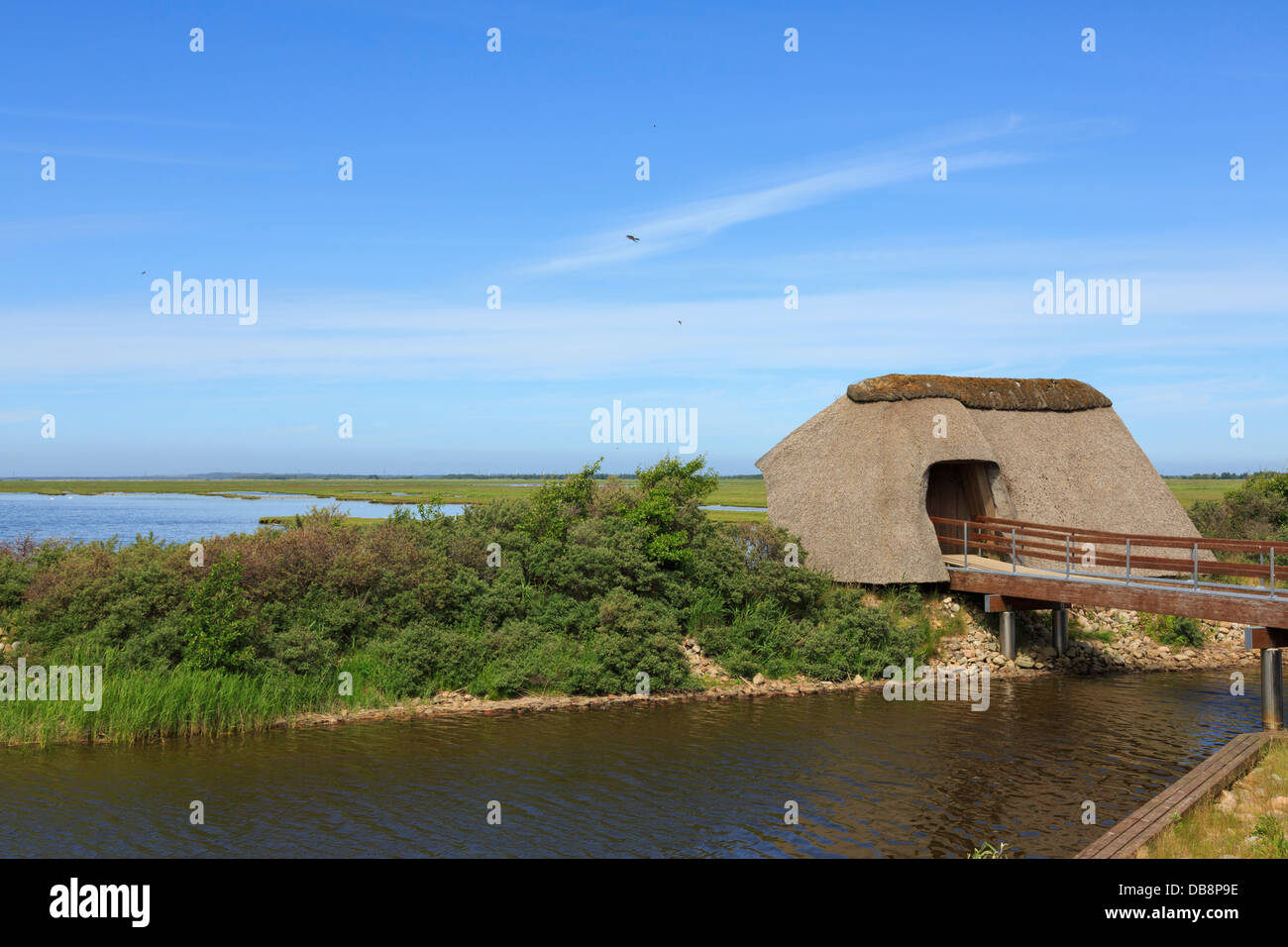 Bird observation hide hi-res stock photography and images - Alamy