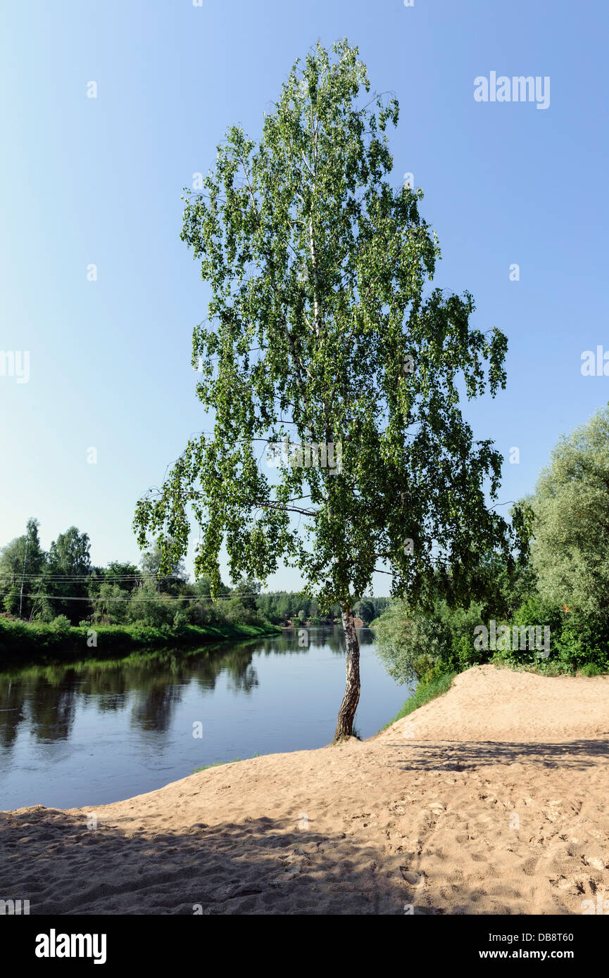 Fluss gauja hi-res stock photography and images - Alamy