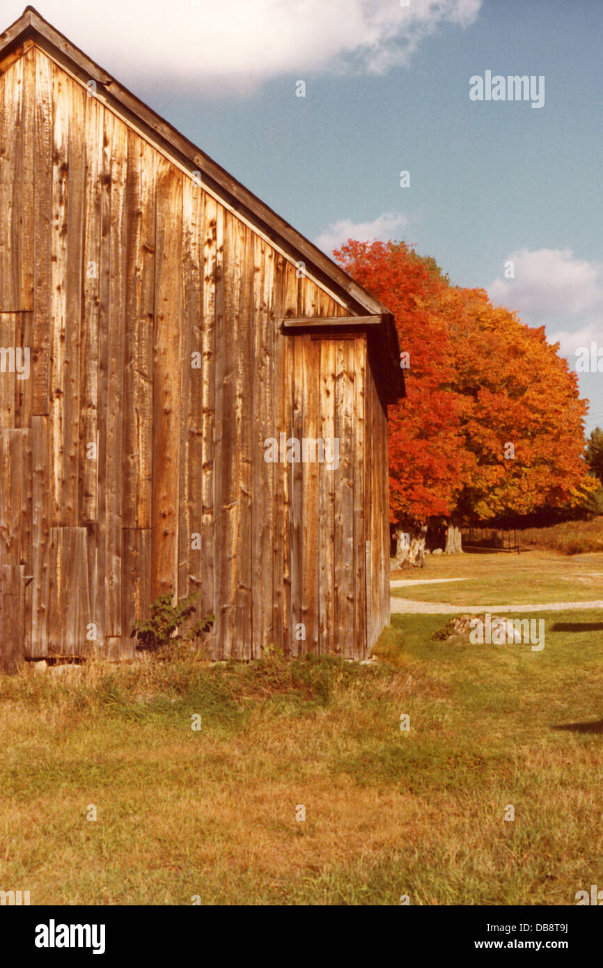 Barn & Fall Tree Stock Photo - Alamy