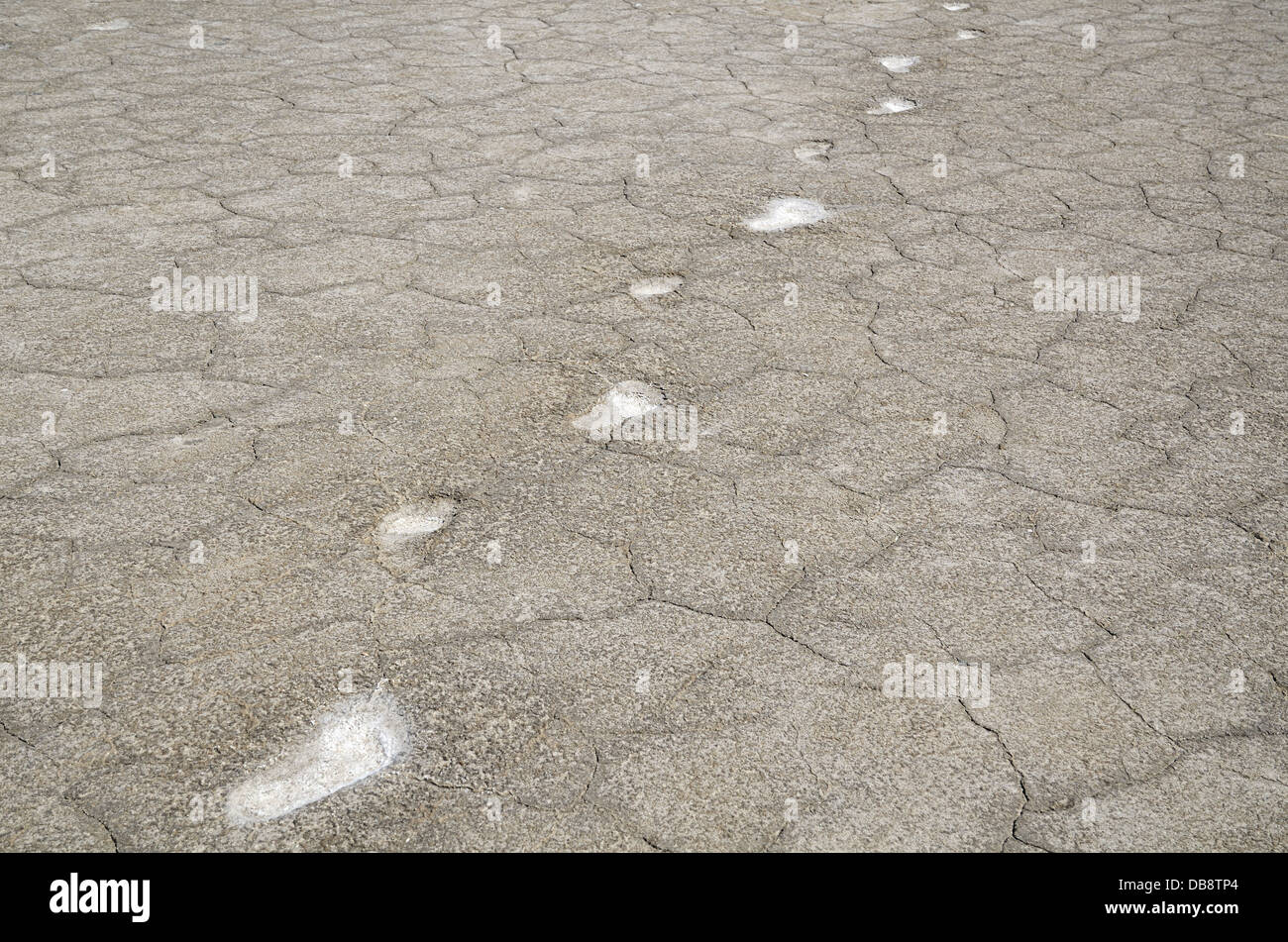 Footprints on the cracked salt earth Stock Photo - Alamy