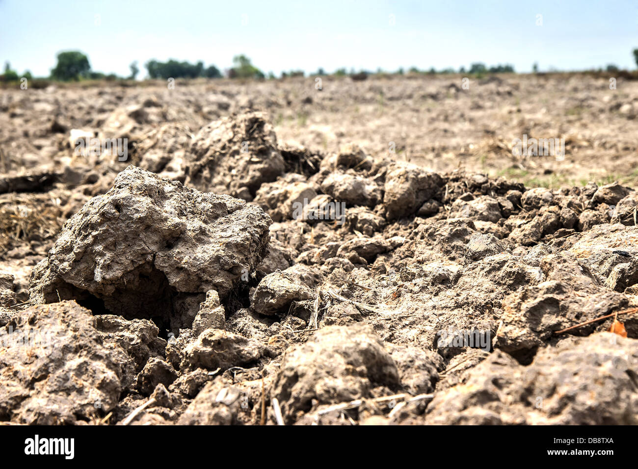 Drought land hi-res stock photography and images - Alamy