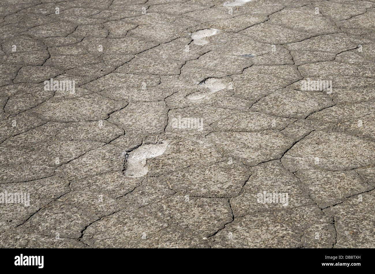 Footsteps in mud hi-res stock photography and images - Alamy
