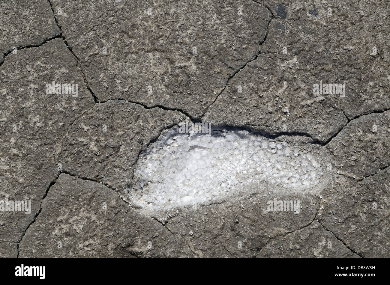 Salt footprint on the cracked earth Stock Photo - Alamy
