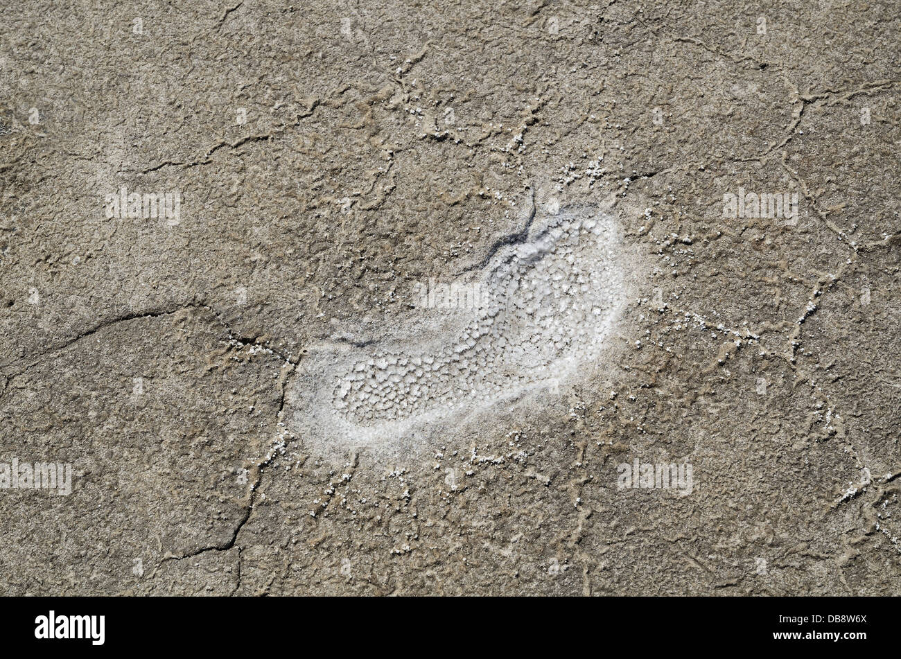 Salt footprint on the cracked ground Stock Photo - Alamy