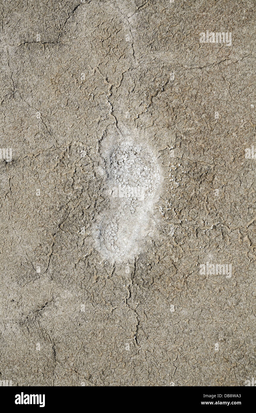 Salt footprint on the dry cracked land Stock Photo - Alamy