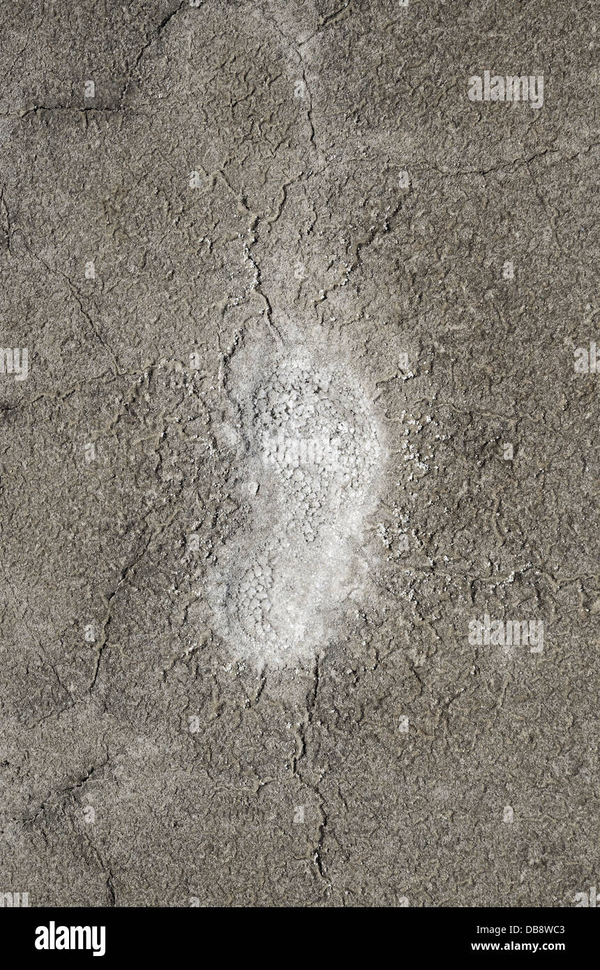 Salt footprint on the dry cracked land Stock Photo - Alamy
