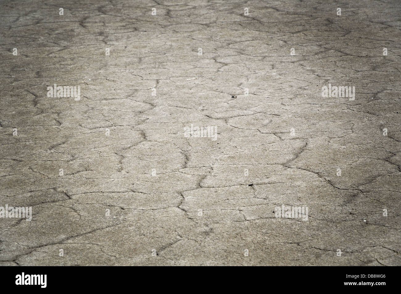 Dead desert with detail of cracked salt earth Stock Photo - Alamy