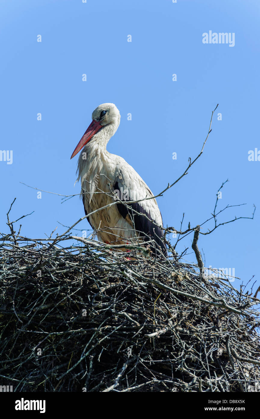 Valley of abava hi-res stock photography and images - Alamy
