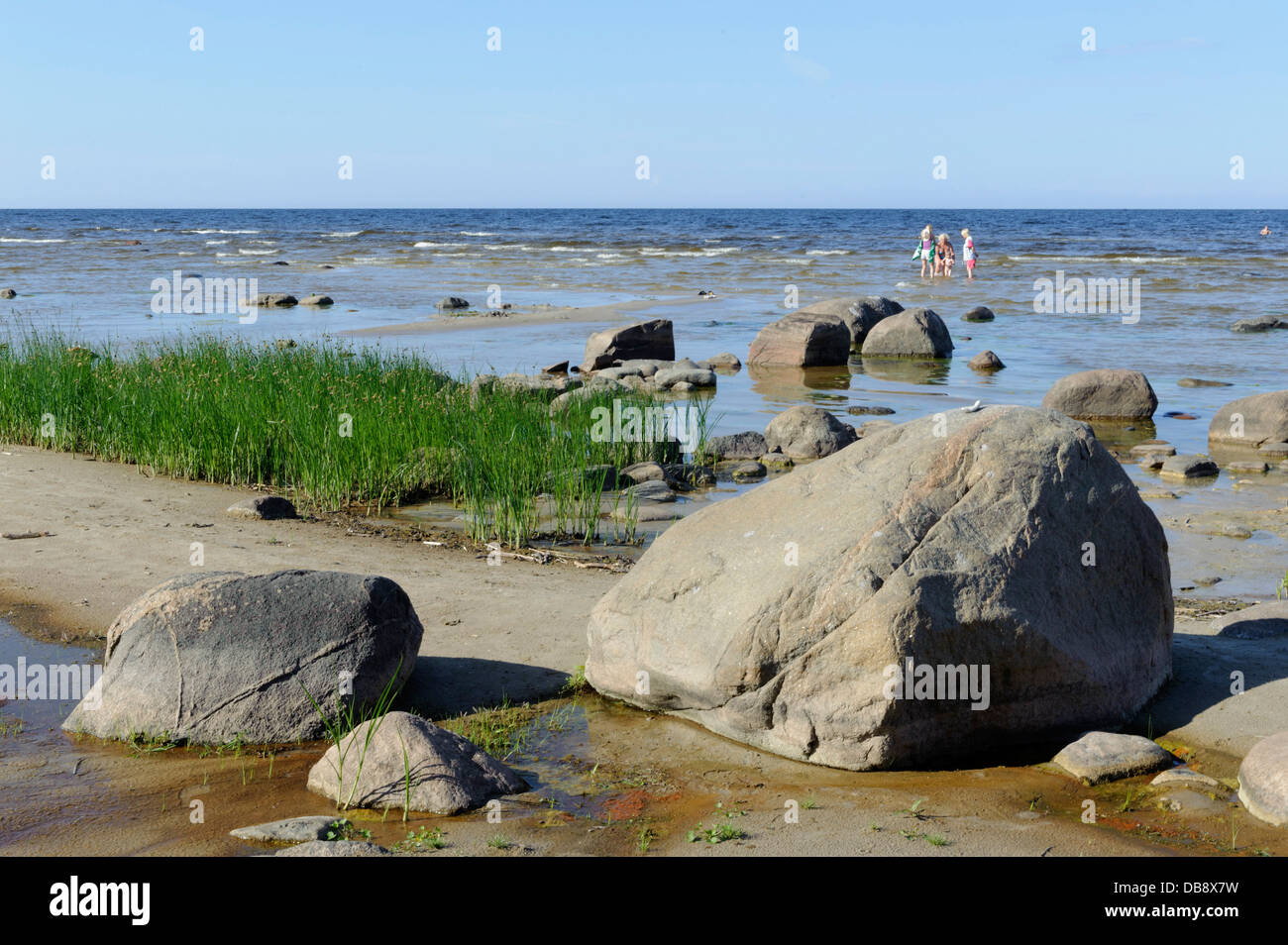 Beach at Roja, Latvia, Europe Stock Photo - Alamy
