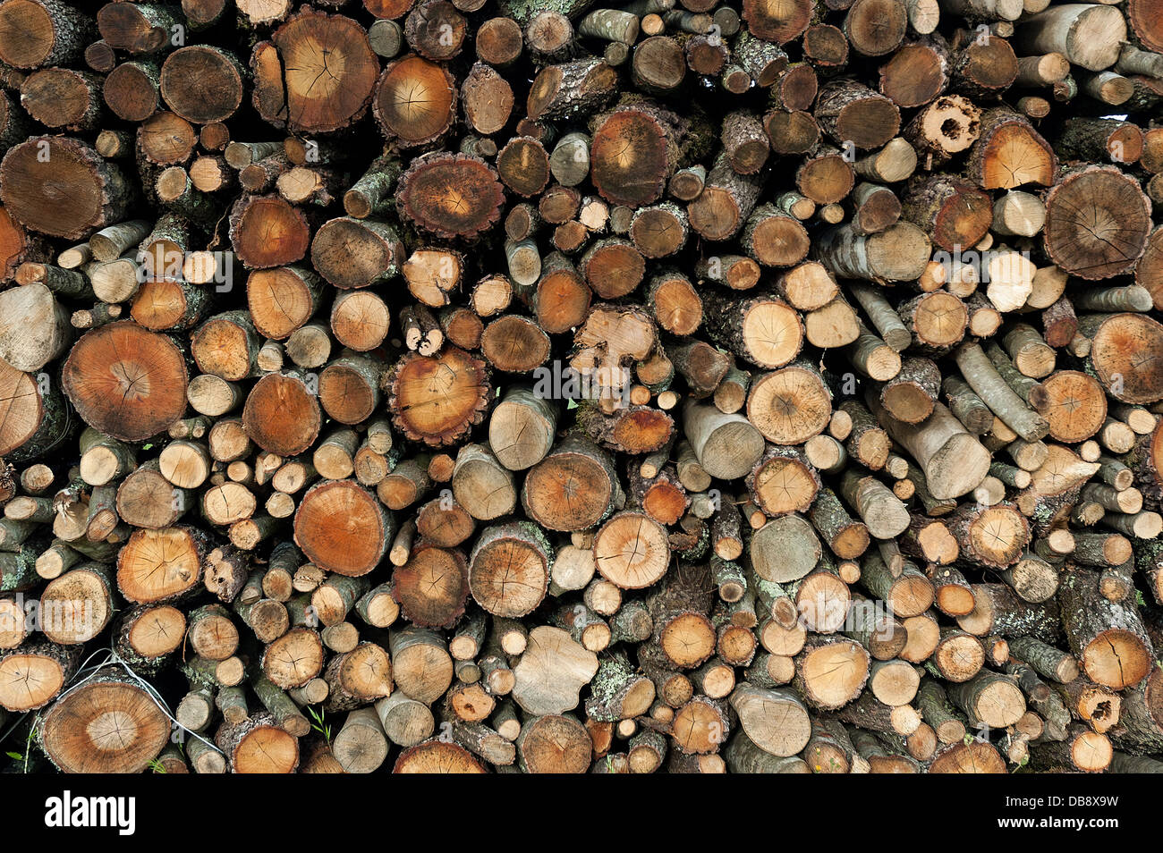 Freshly piled logs hi-res stock photography and images - Alamy