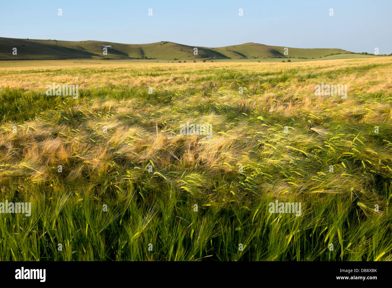 Wind farm in rural field hi-res stock photography and images - Alamy