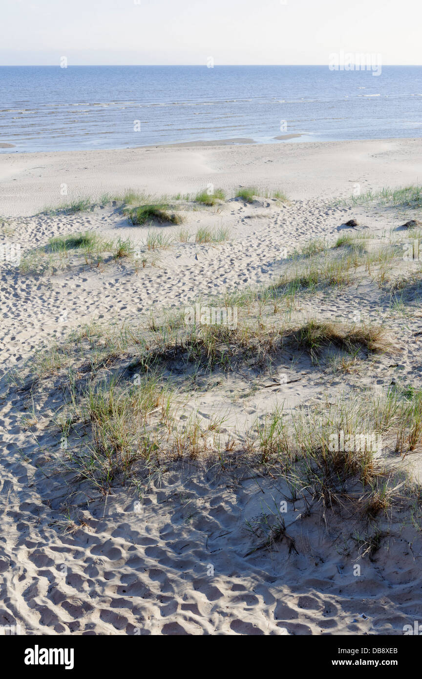 Vaide hi-res stock photography and images - Alamy