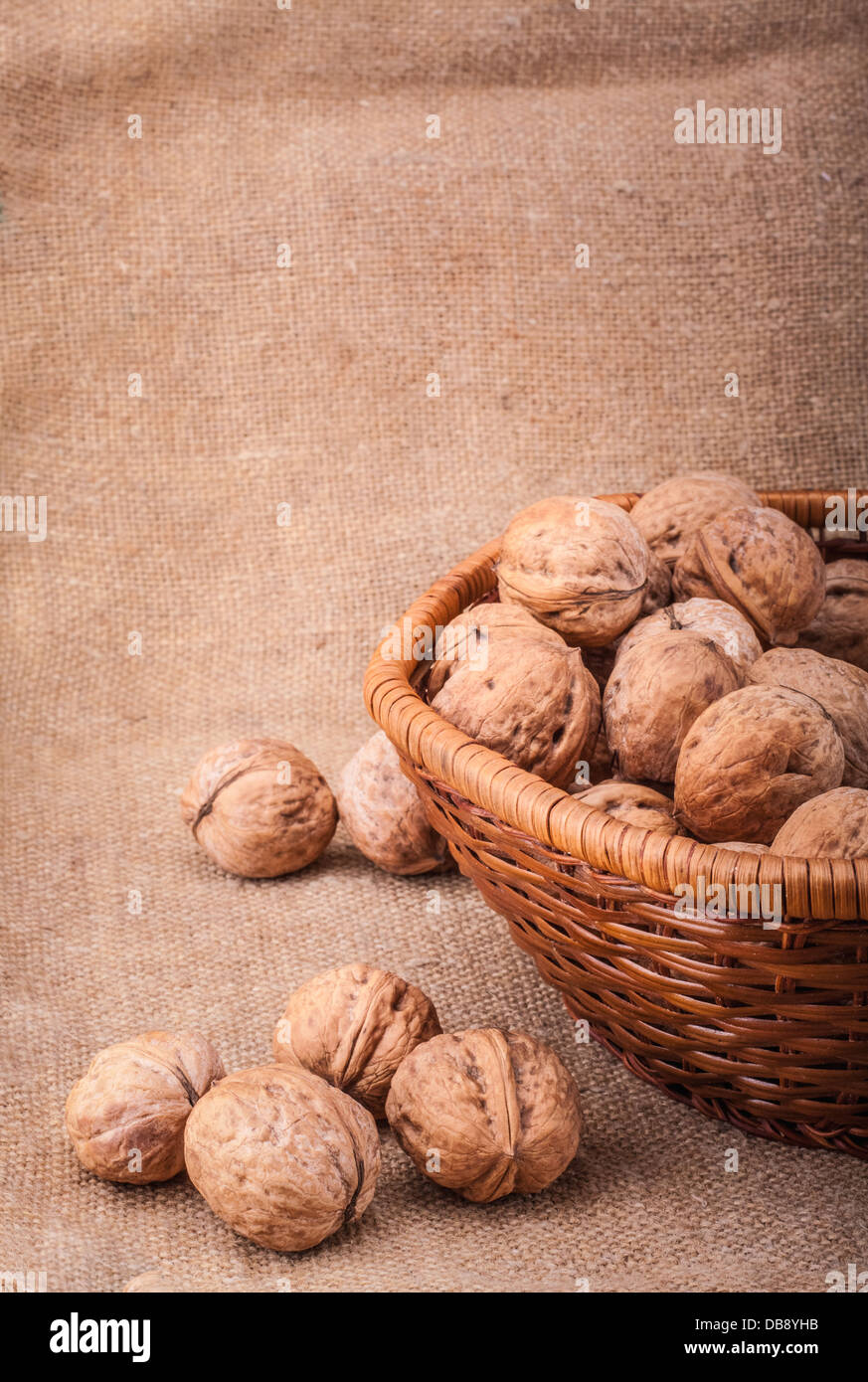 Walnut unshelled hi-res stock photography and images - Alamy