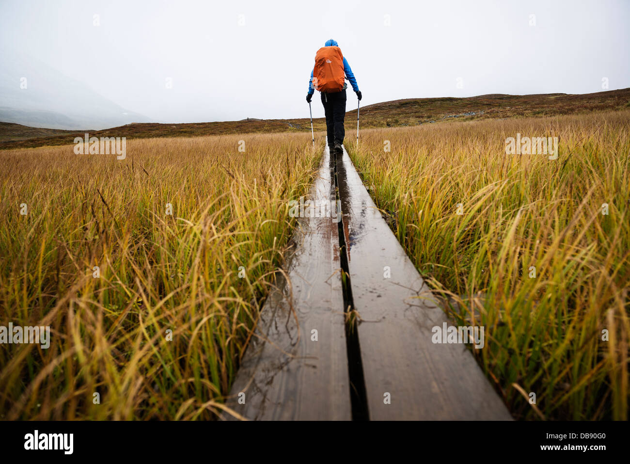 Female walker backpacker hiker hi-res stock photography and images - Alamy