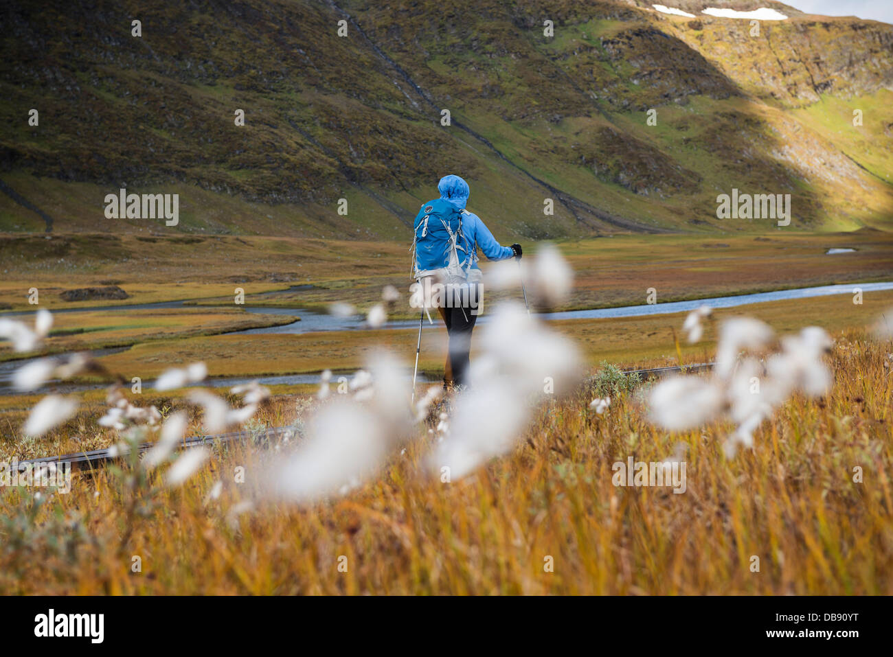 Female hiker hikes along Kunsleden trail north of Sälka mountain hut ...