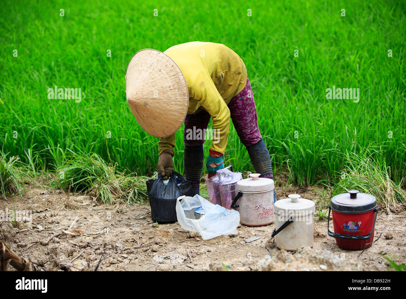 Farmer lunch field hi-res stock photography and images - Alamy