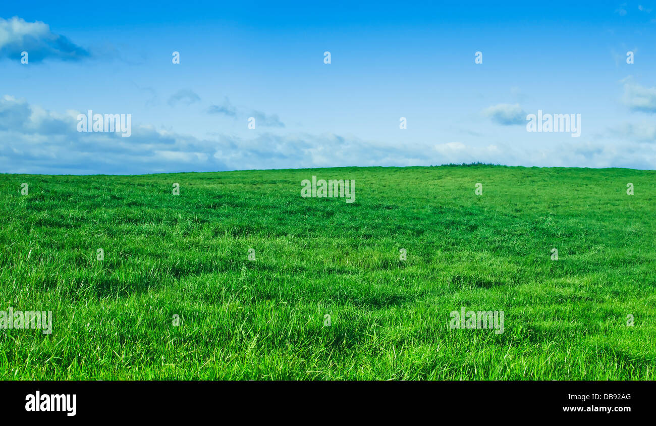 Spring landscapes blue sky hi-res stock photography and images - Alamy