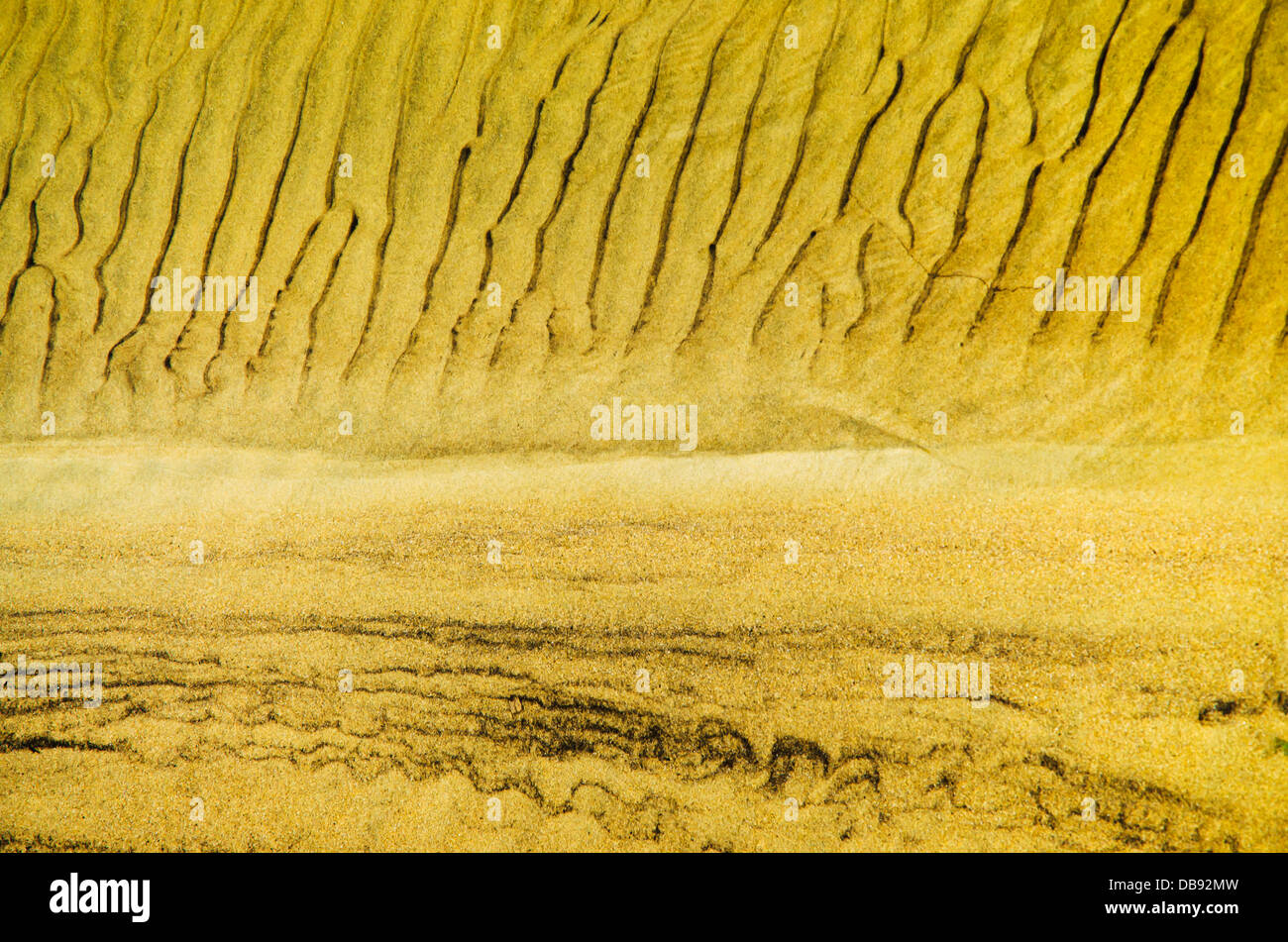 yellow sand at the beach , abstract background Stock Photo - Alamy