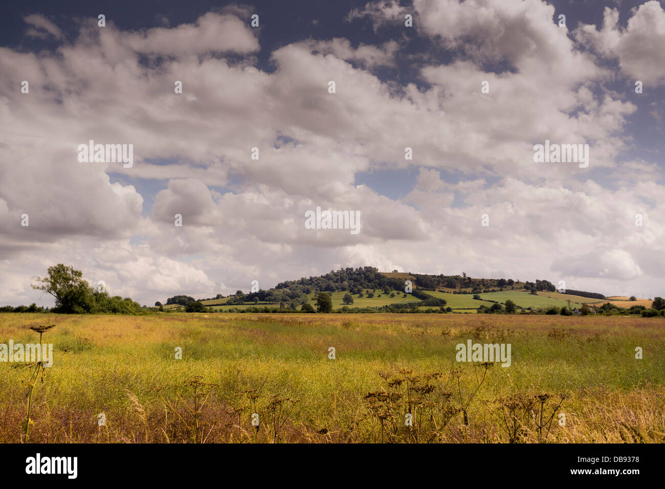 MEON HILL NEAR STRATFOR UPON AVON ENGLISH WARWICKSHIRE COUNTRYSIDE ...