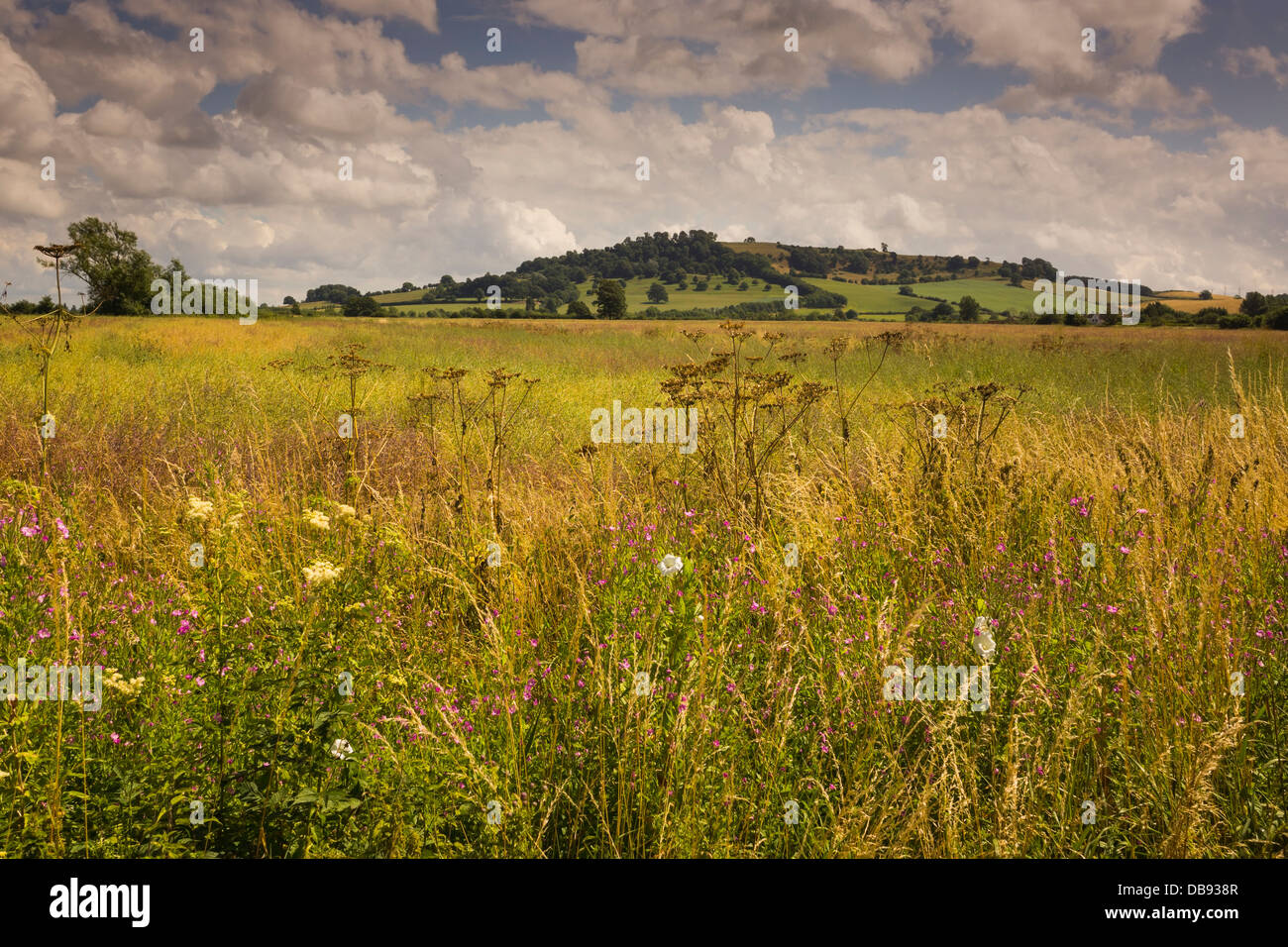 MEON HILL NEAR STRATFOR UPON AVON ENGLISH WARWICKSHIRE COUNTRYSIDE ...