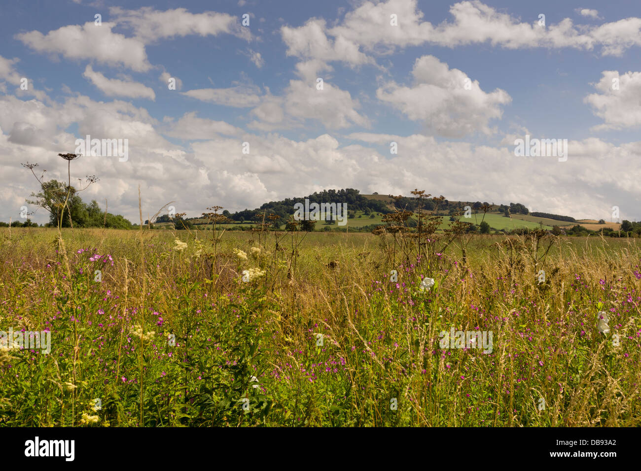 MEON HILL NEAR STRATFOR UPON AVON ENGLISH WARWICKSHIRE COUNTRYSIDE ...
