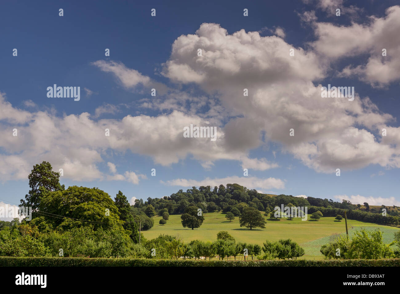 MEON HILL NEAR STRATFOR UPON AVON ENGLISH WARWICKSHIRE COUNTRYSIDE ...