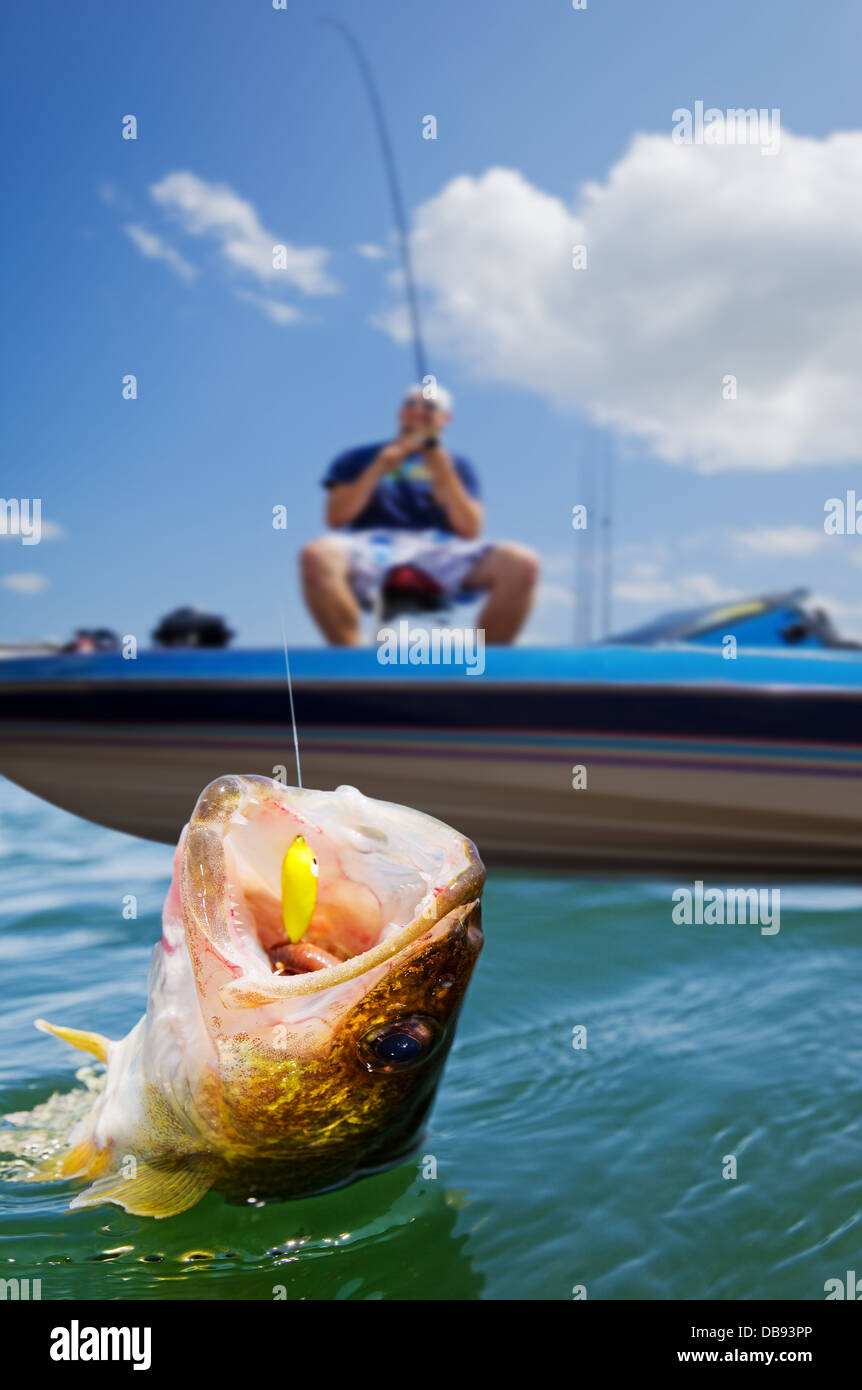 Walleye fishing boat hi-res stock photography and images - Alamy