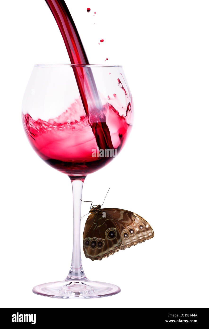 Splash red wine against a white and butterfly background Stock Photo ...
