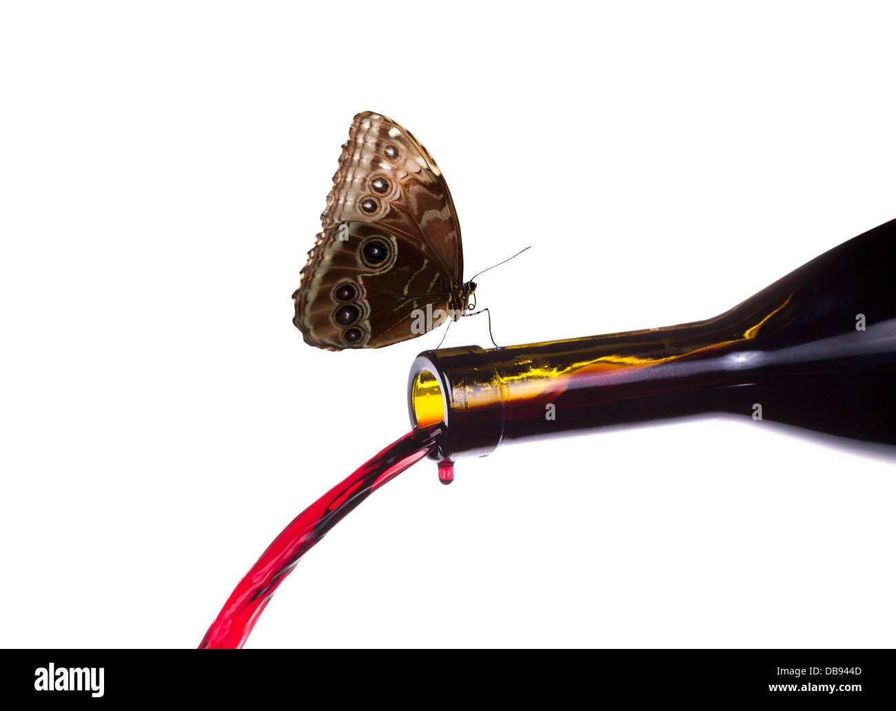 Splash red wine against a white and butterfly background Stock Photo ...