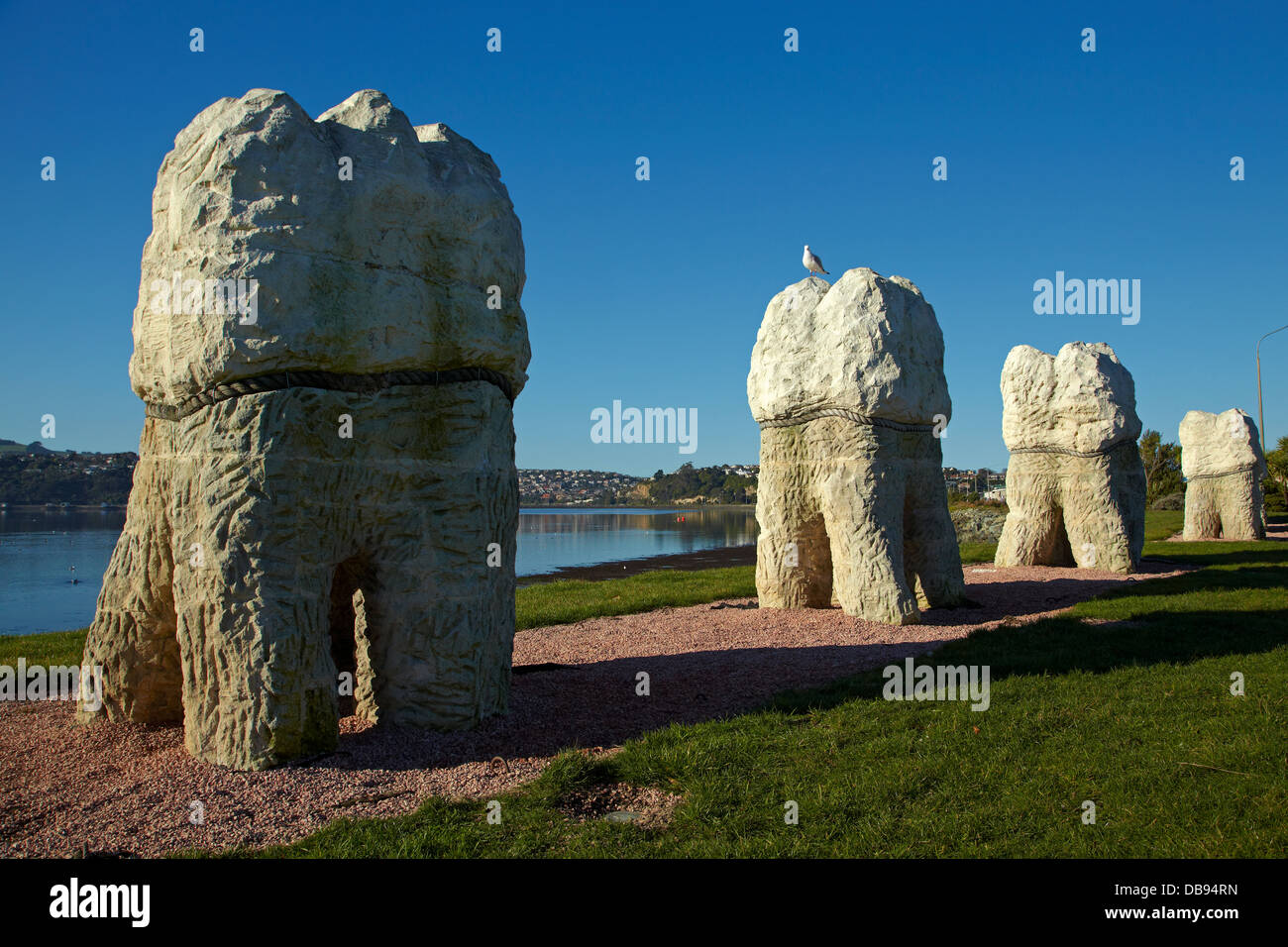 Harbour Mouth Molars by artist Regan Gentry, and Otago Harbour, Dunedin ...