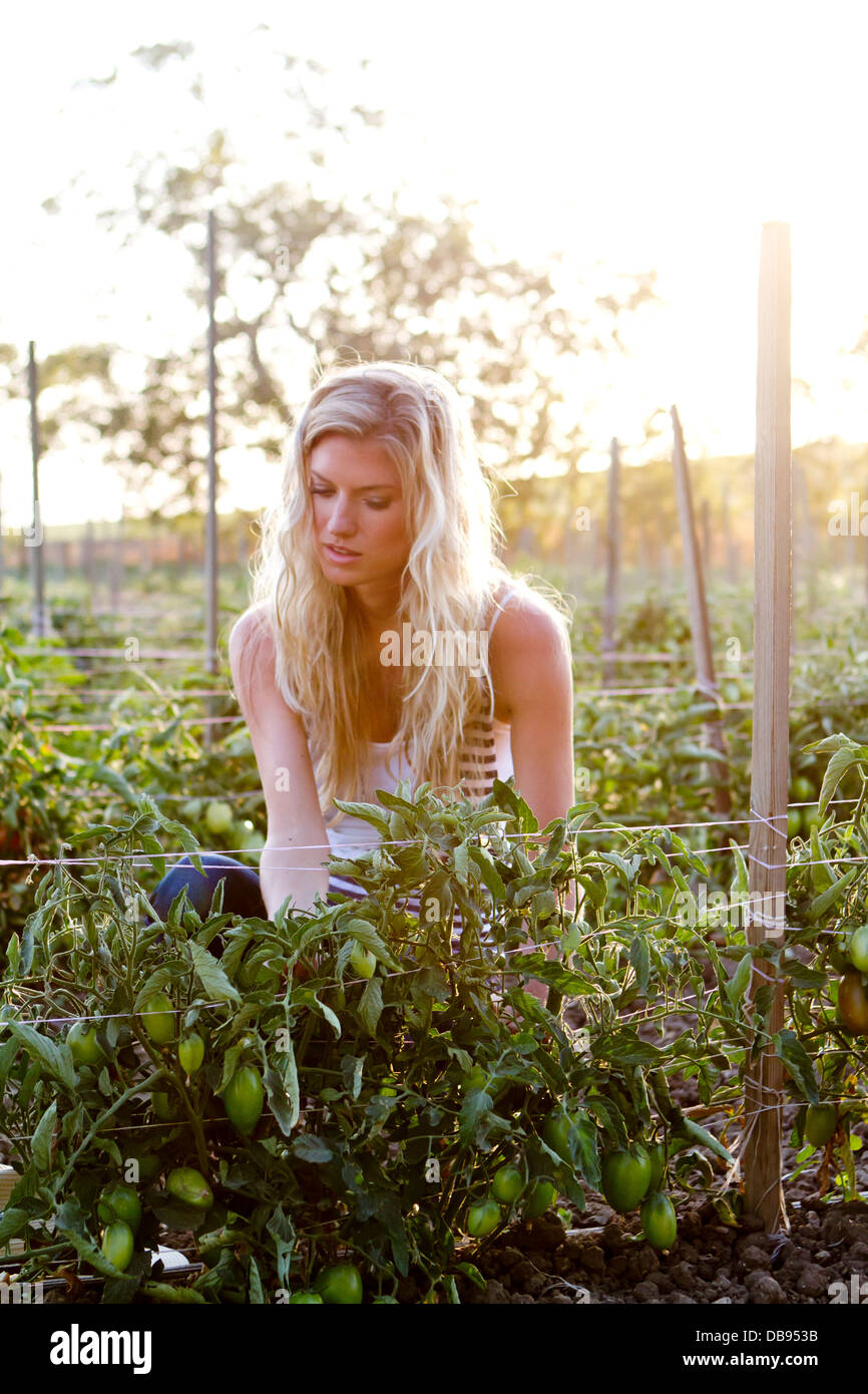Attractive blonde twenty something woman hi-res stock photography and ...