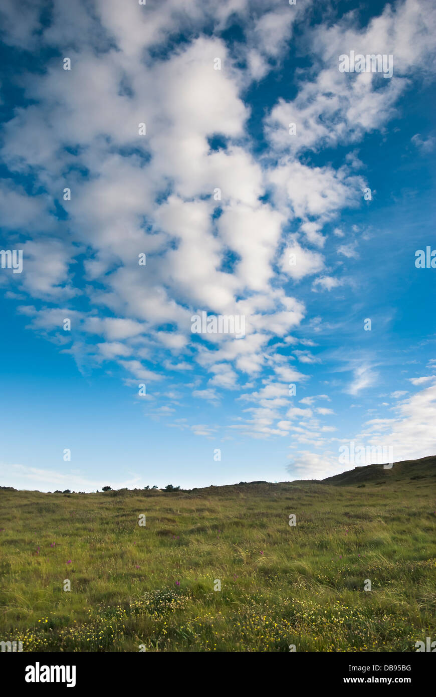lonely landscape with grass and blue sky Stock Photo - Alamy