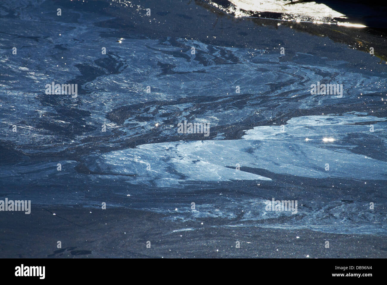 Polluted water from farm runoff in drainage channel, Taieri Plains ...