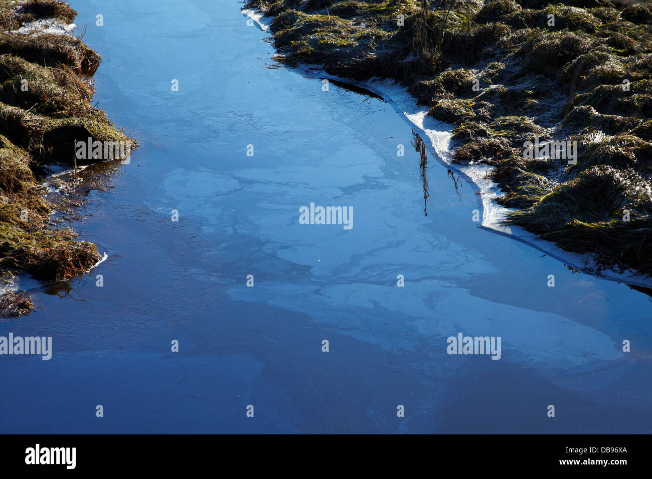 Polluted water from farm runoff in drainage channel, Taieri Plains ...