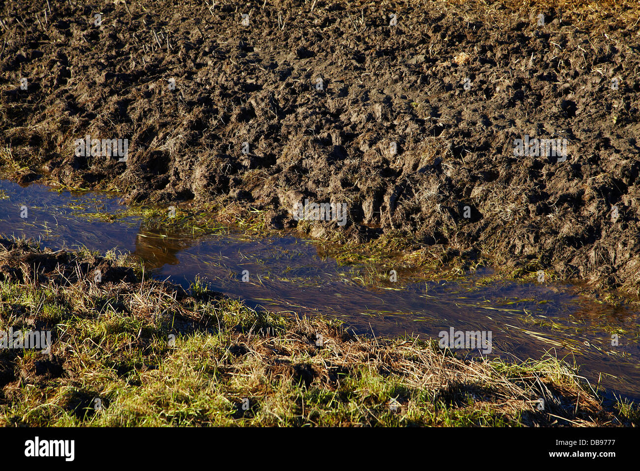 Stock pugging around unfenced waterway hi-res stock photography and ...