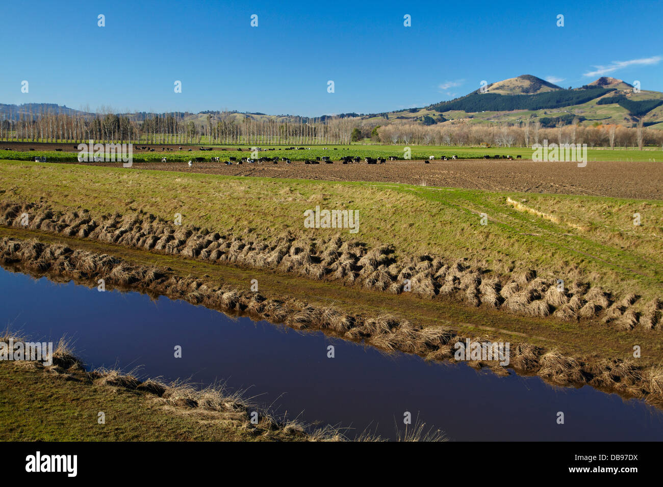 Silver Stream and flood banks, Taieri Plains, near Dunedin, South ...