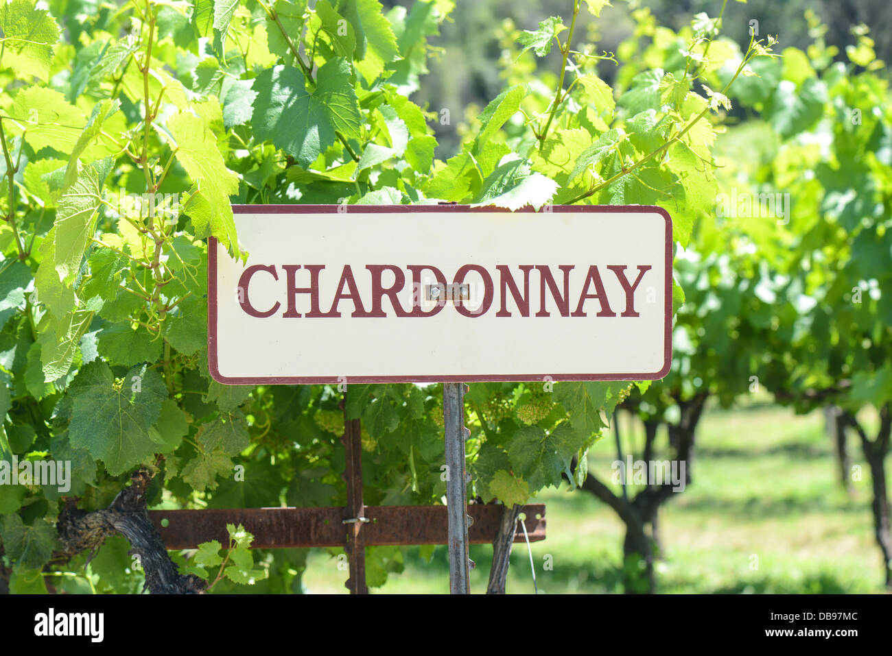 Grapes sign hi-res stock photography and images - Alamy