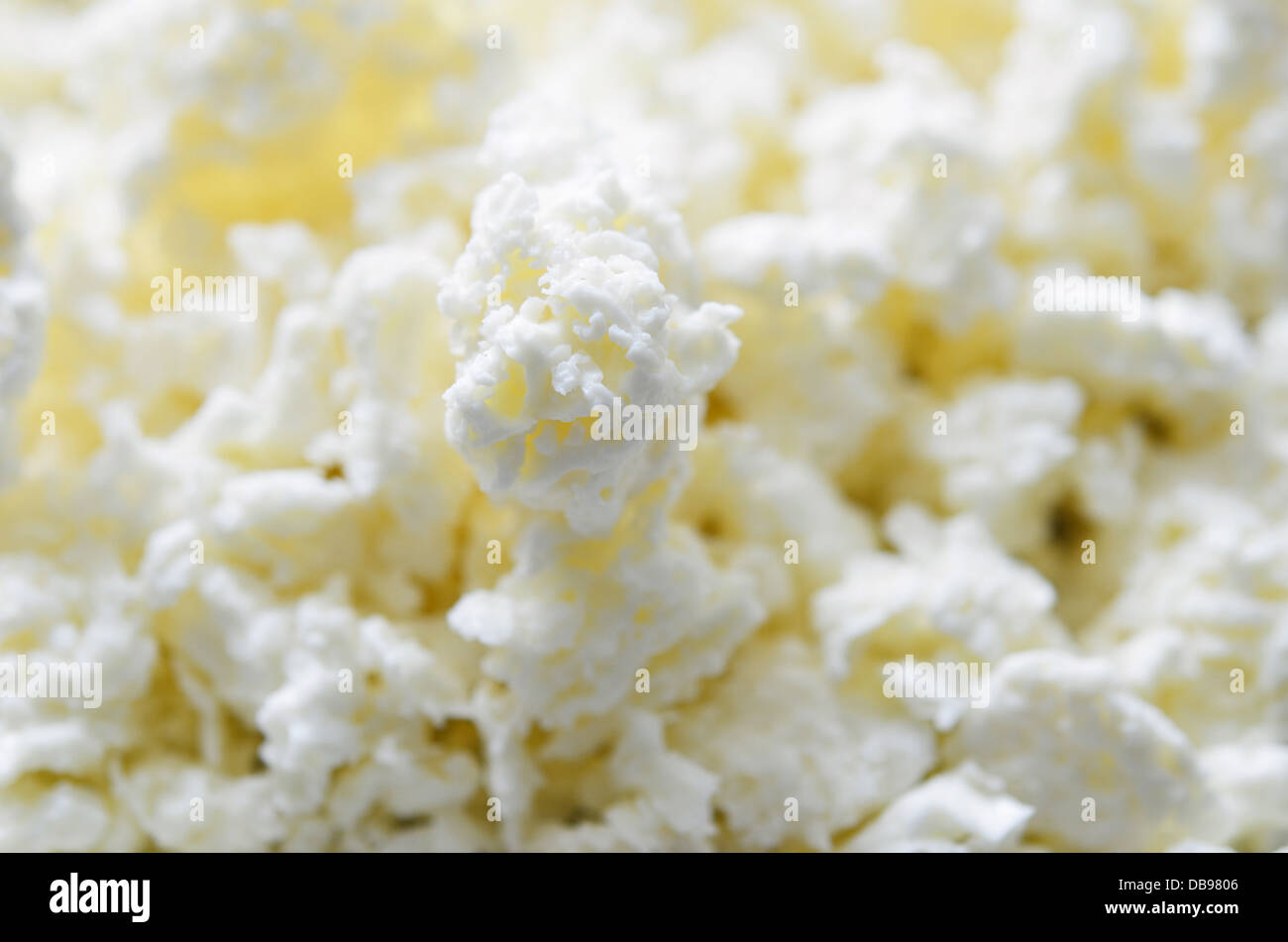 close up of curd cheese Stock Photo - Alamy
