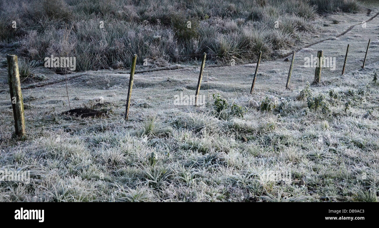 Rio Grande do Sul, southern Brazil. 25th July, 2013. Frost on the city ...