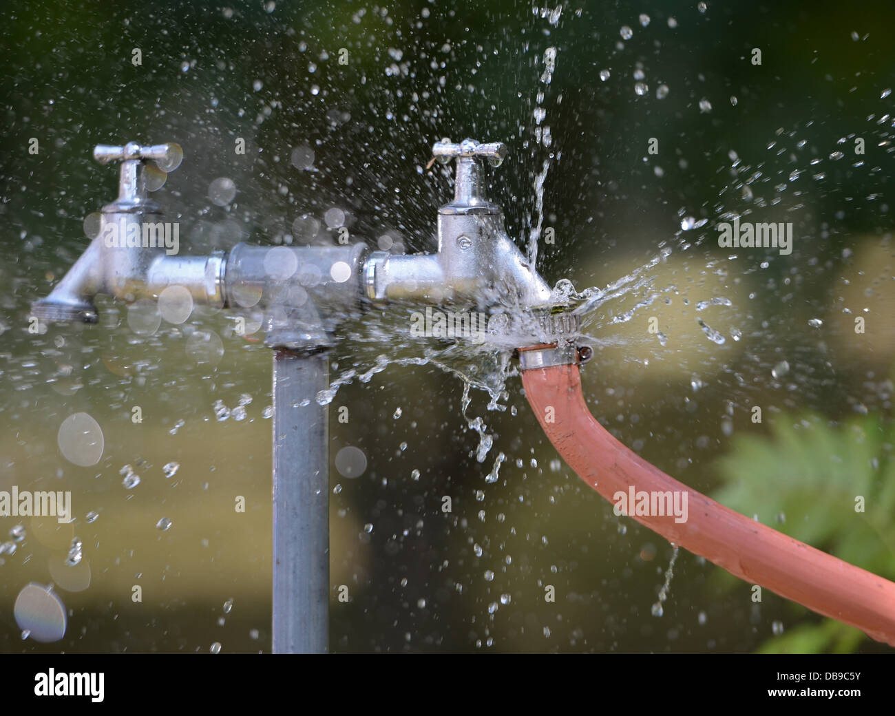 Fossit hi-res stock photography and images - Alamy