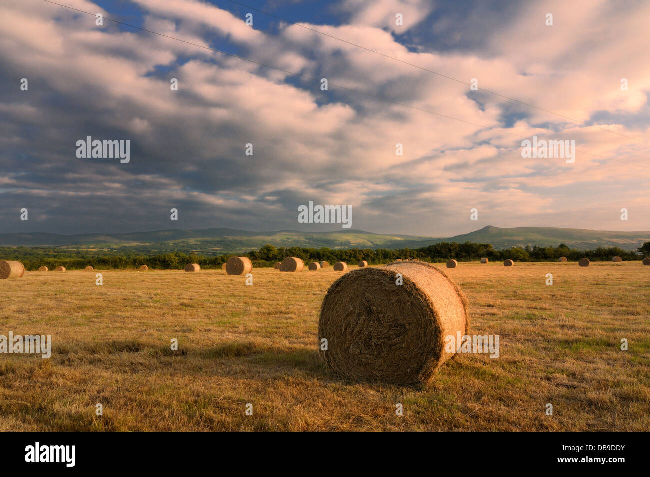 Carn ingli hi-res stock photography and images - Alamy