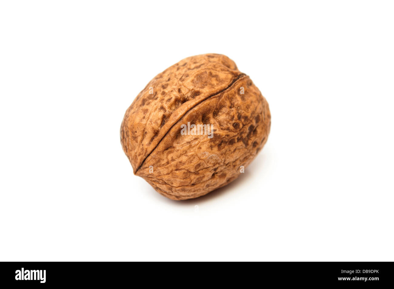 walnut in shell on a white background Stock Photo - Alamy