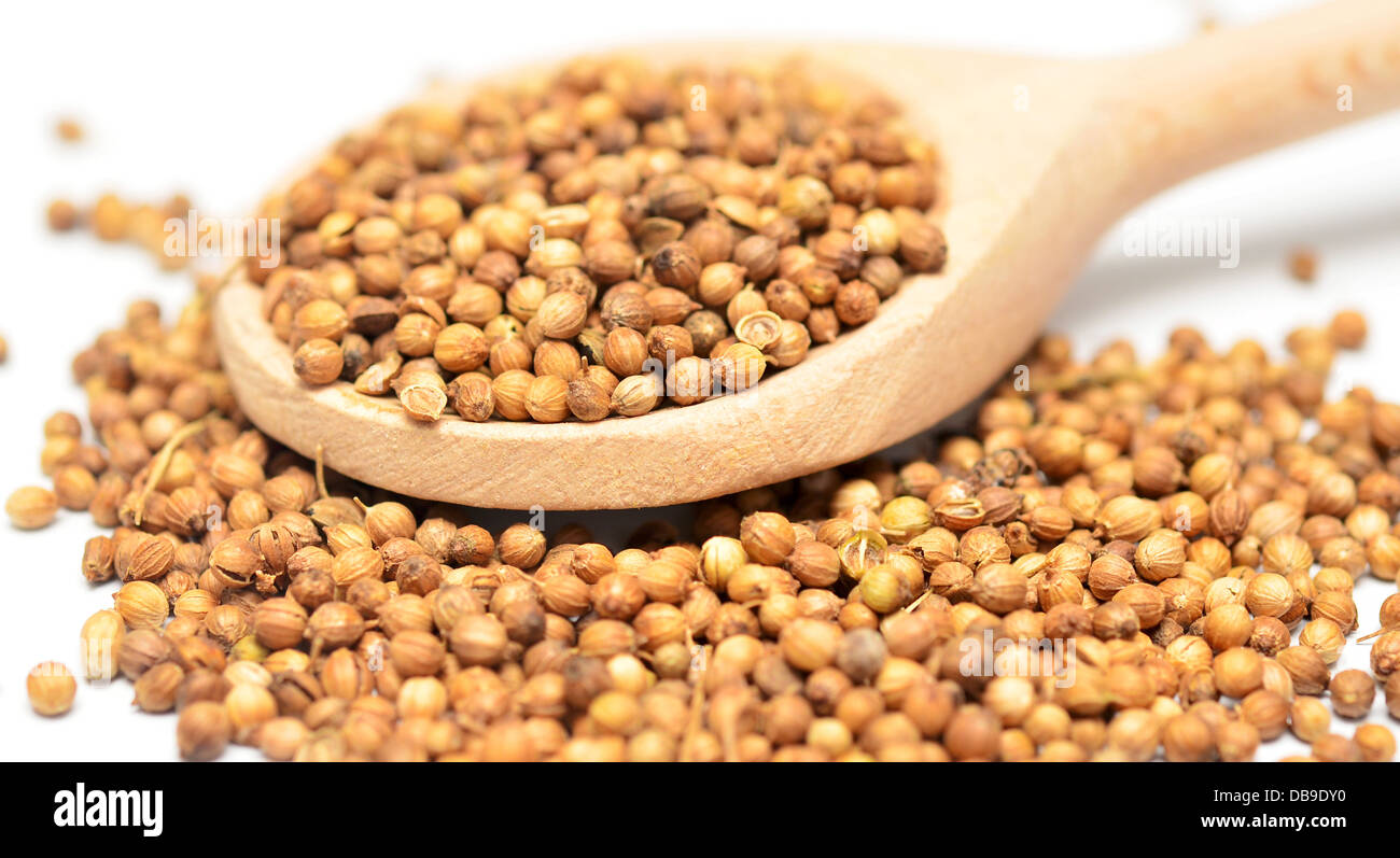 coriander in a wooden spoon Stock Photo - Alamy