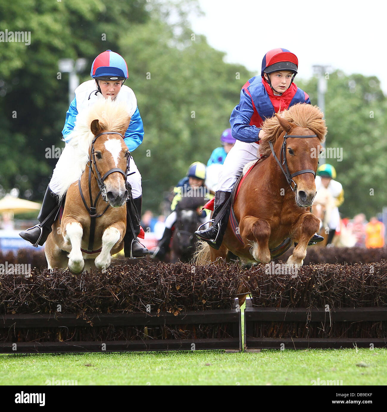 Atmosphere MINT Polo In The Park - Shetland Pony Grand National - Day 3 London, England - 04.06. ...