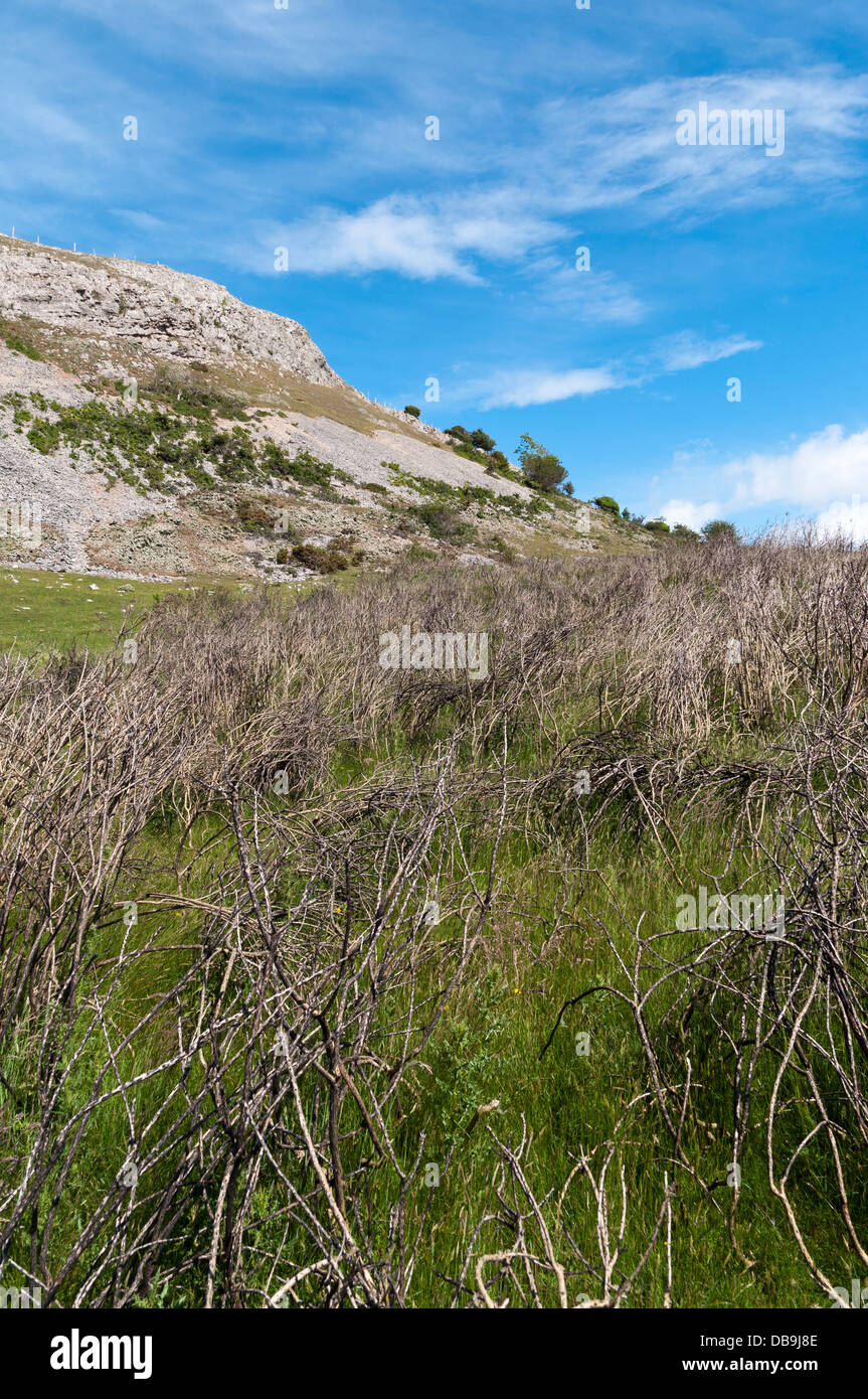 Rhyd y foel in North Wales view of Pen y Corddyn Mawr hill, site of a ...